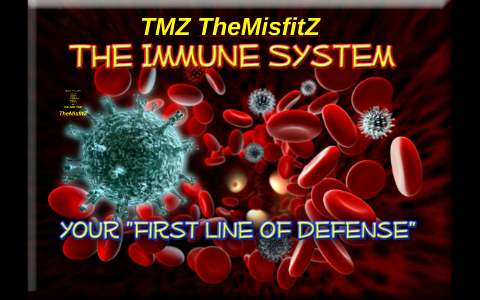 TMZ TheMisfitZ by the misfitz on Prezi