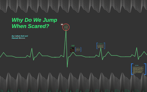 Why Do We Jump When Scared? by Callum Bell on Prezi