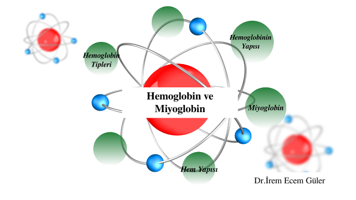 Hemoglobin ve Miyoglobin by Biochemistry M.D on Prezi
