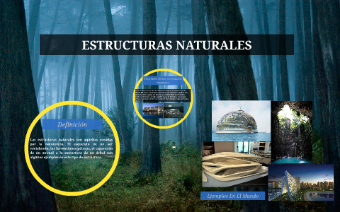 ESTRUCTURAS NATURALES by Evelyn Castañeda on Prezi