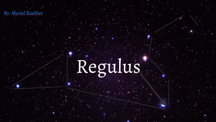 Regulus by Mariel Koehler