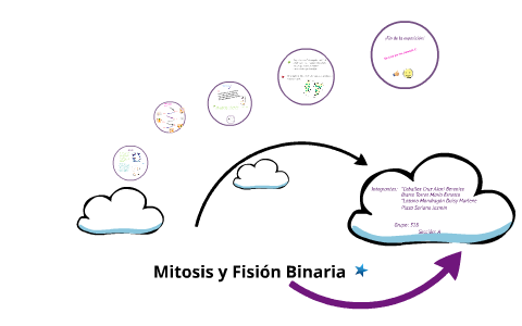 Mitosis y Fision Binaria by Jazmin Plaza on Prezi