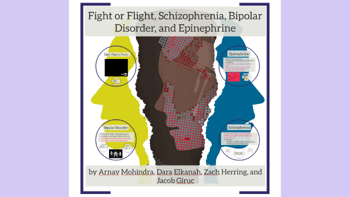 Fight or Flight, Schizophrenia, Bipolar Disorder, and Epinep by Arnav ...