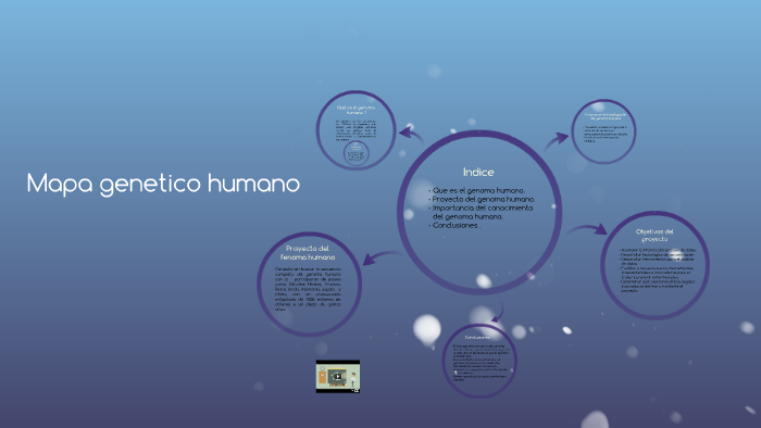 Mapa genetico humano by andrea torres on Prezi