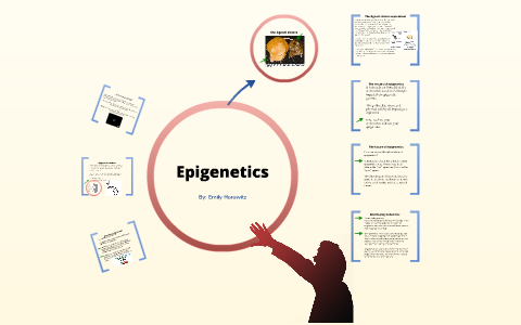 ap biology: EPIGENETICS by emily horowitz on Prezi