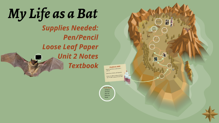 My Life as a Bat by Riley Hungate on Prezi