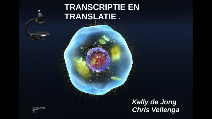 TRANSCRIPTIE EN TRANSLATIE by Chris Vellenga on Prezi