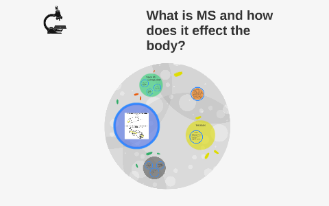 What is MS and how does it effect the body? by Ellie Land on Prezi
