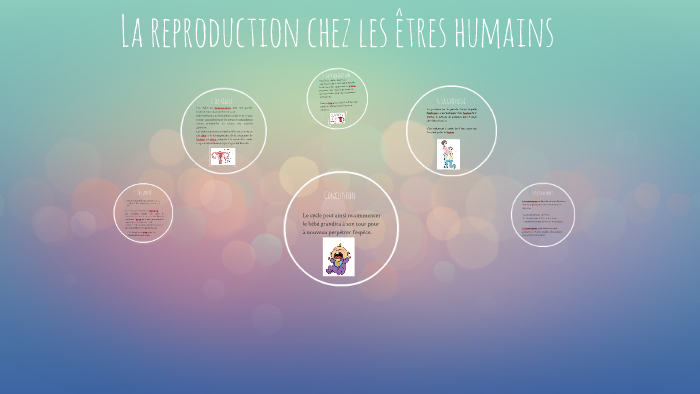 La reproduction chez les êtres humains by Hanna McTekerl on Prezi