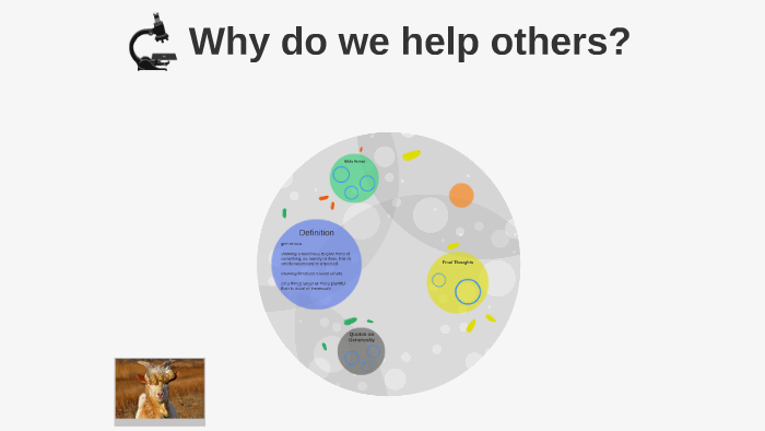 Why do we help others? by Steve Stupar on Prezi