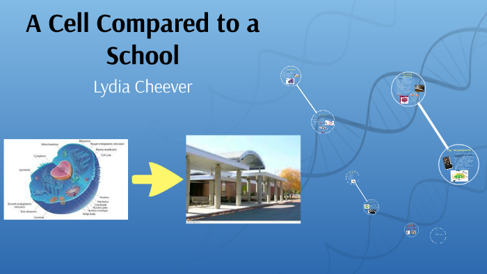 Cell Comparison Project by Lydia Cheever on Prezi