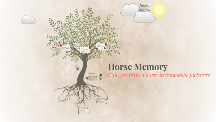 Horse Memory by Taylor Reiheld on Prezi