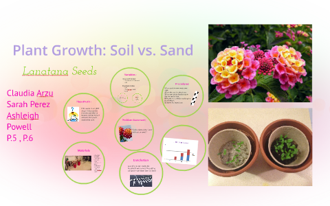 Plant Growth: Soil vs. Sand by ashleigh powell on Prezi