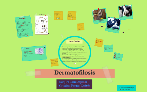 Dermatofilosis by raque Cruz on Prezi