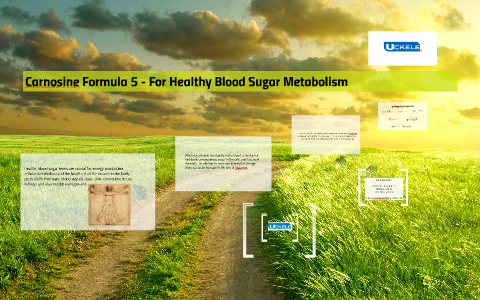 Carnosine Formula 5 - For Healthy Blood Sugar Metabolism by Susan ...