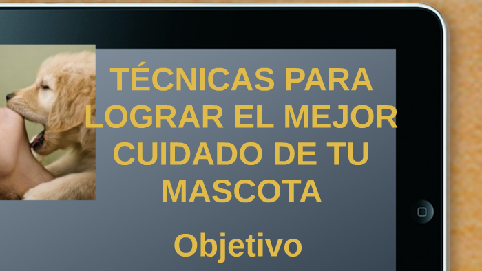 TECNICAS PARA ENTRENAR A TU PERRO by Luly Rodriguez on Prezi