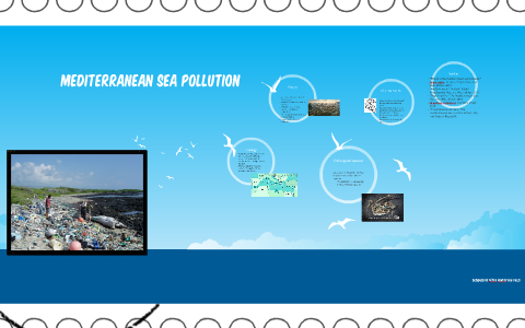 Mediterranean Sea Pollution by katelyn kilpatrick on Prezi