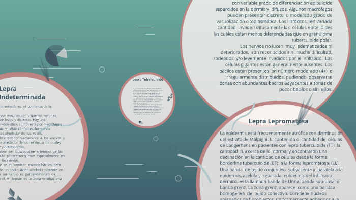 La lepra indeterminada es el comienzo de la enfermedad. by natalia ...