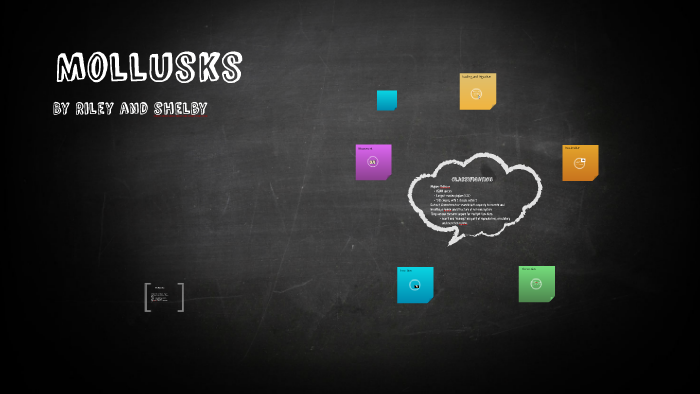 Mollusks by Shelby Needham on Prezi