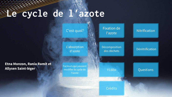 Le cycle de l'azote by Ddd L on Prezi