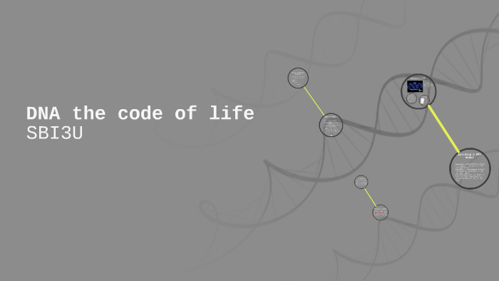 DNA the code of life by Miss Maus on Prezi