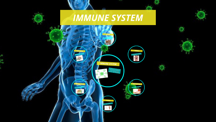 IMMUNE SYSTEM by jorge magana on Prezi