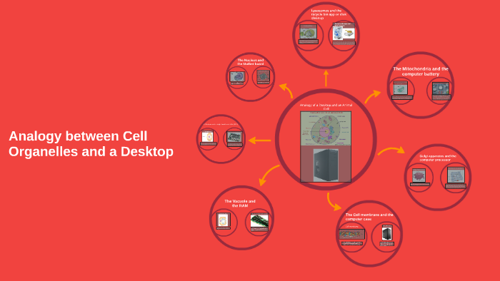 Analogy with cell organelles and a computer by Johnny Ling on Prezi