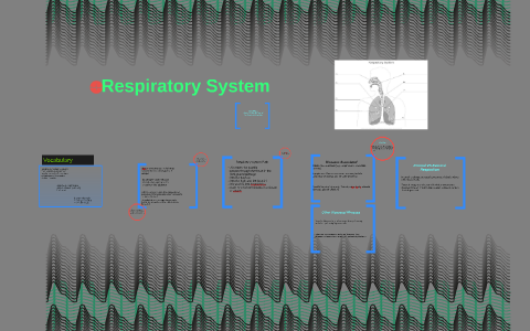 Respiratory System by Angela Koontz on Prezi