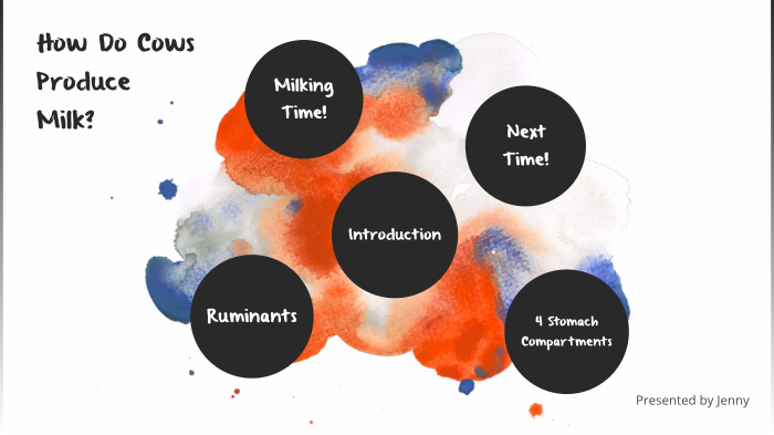 How Do Cows Produce Milk? Jenny by Jenny Wang on Prezi