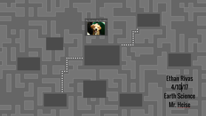 How Climate Change Affects Dogs by Ethan Rivas on Prezi