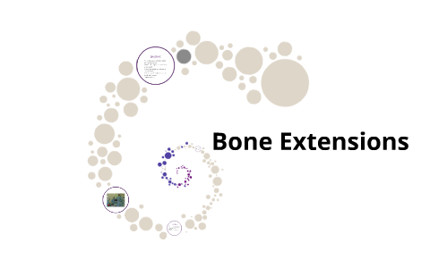 Bone Extensions by Madi M on Prezi