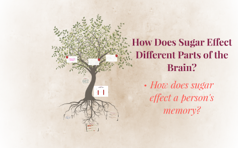 How Does Sugar Effect Different Parts of the Brain? by Carly Offermann ...