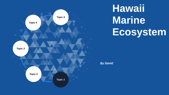 hawaii ecosystem by DAVID DEACIANO QUIRINO on Prezi