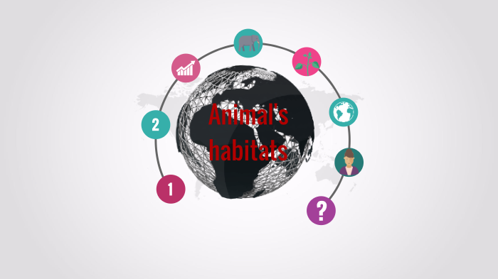 Animal's habitats by Gina Phiri on Prezi