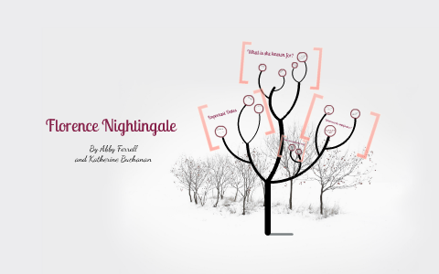 Florence Nightingale by Abby Ferrell on Prezi