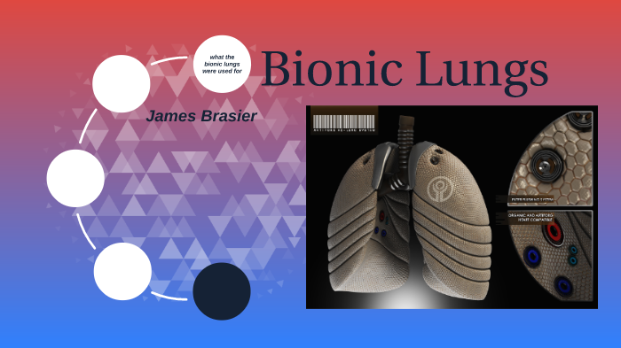 the bionic lung by James Brasier on Prezi