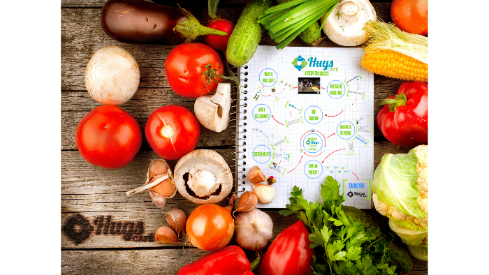 Hugs Cafe Introduction by Ruth Thompson