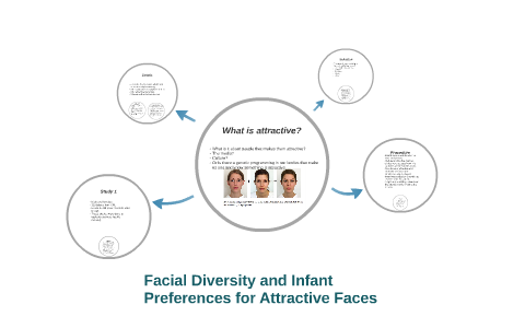 Facial Diversity and Infant Preferences for Attractive Faces by Potta ...