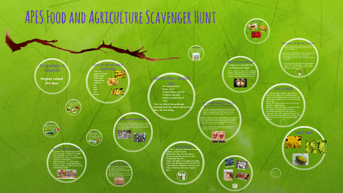 APES Food and Agriculture Scavenger Hunt by Meghan Lenard on Prezi