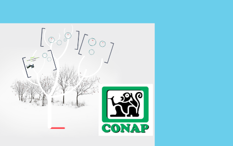 ¿Que es CONAP? by ludwig cabrera on Prezi