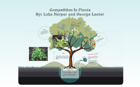 Competition In Plants by George Lester on Prezi