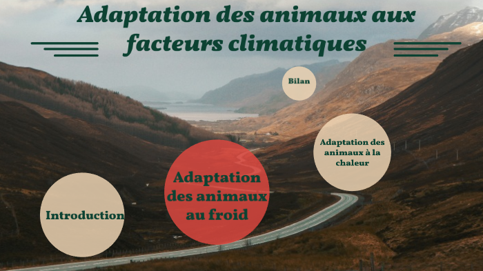 adaptation des animaux by Youssef BenJeddi on Prezi
