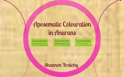 Aposematic Colouration in Amphibians by Shannon Kraichy on Prezi