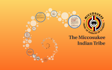 The Miccosukee Indian Tribe by Sofia Ortega on Prezi