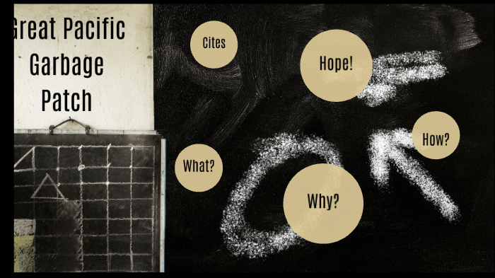 The Great Pacific Garbage Patch Project by AYSHIA ROLLINS on Prezi