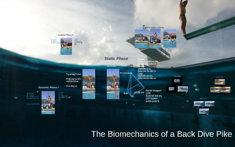 The Biomechanics of a Back Dive Pike by on Prezi