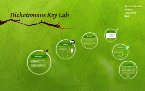 Dichotomous Key Lab by Lluvia Sommer on Prezi