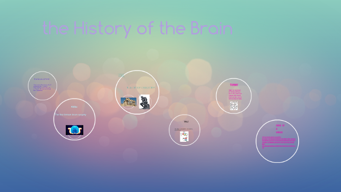 the History of the Brain by Elizabeth W on Prezi