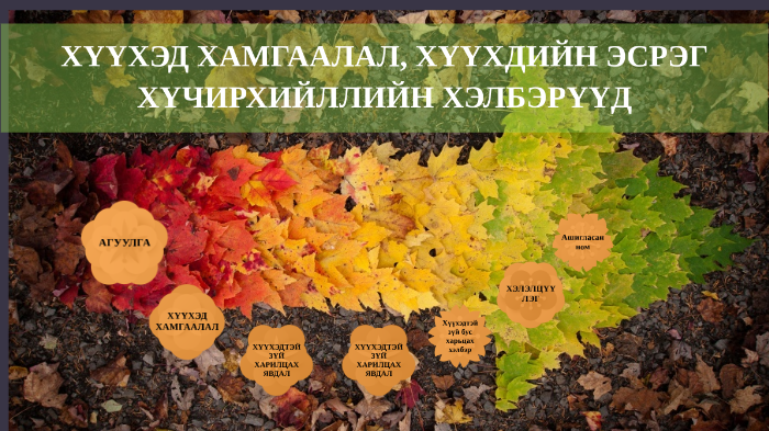 Hvvhed hamgaalal 3.1 by Oyunzul Erdenebaatar on Prezi