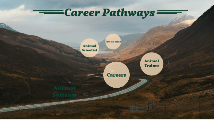 Animal System Career Pathways by Alyssa Mori on Prezi